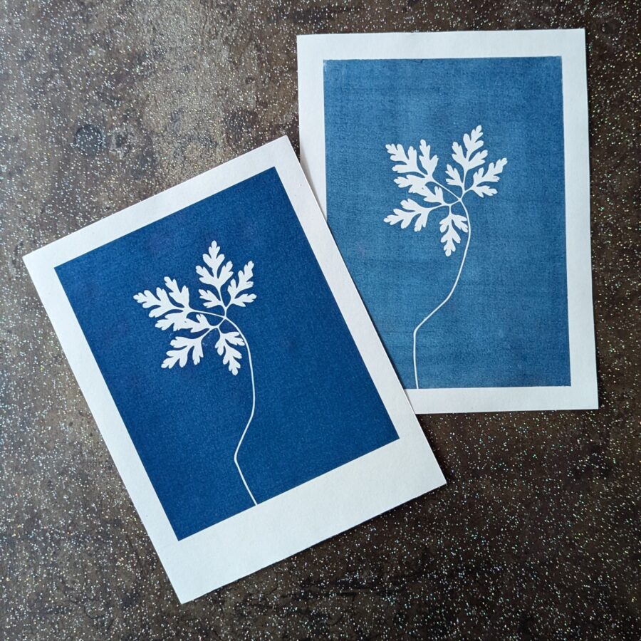 Fondamentaux du cyanotype - Aline Héau - Cyanotypes
